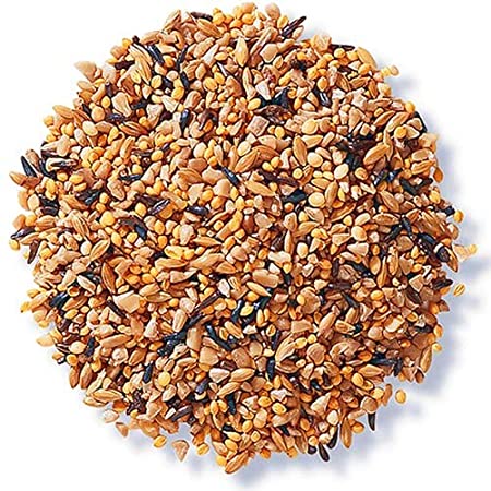 Bird Mix Seeds