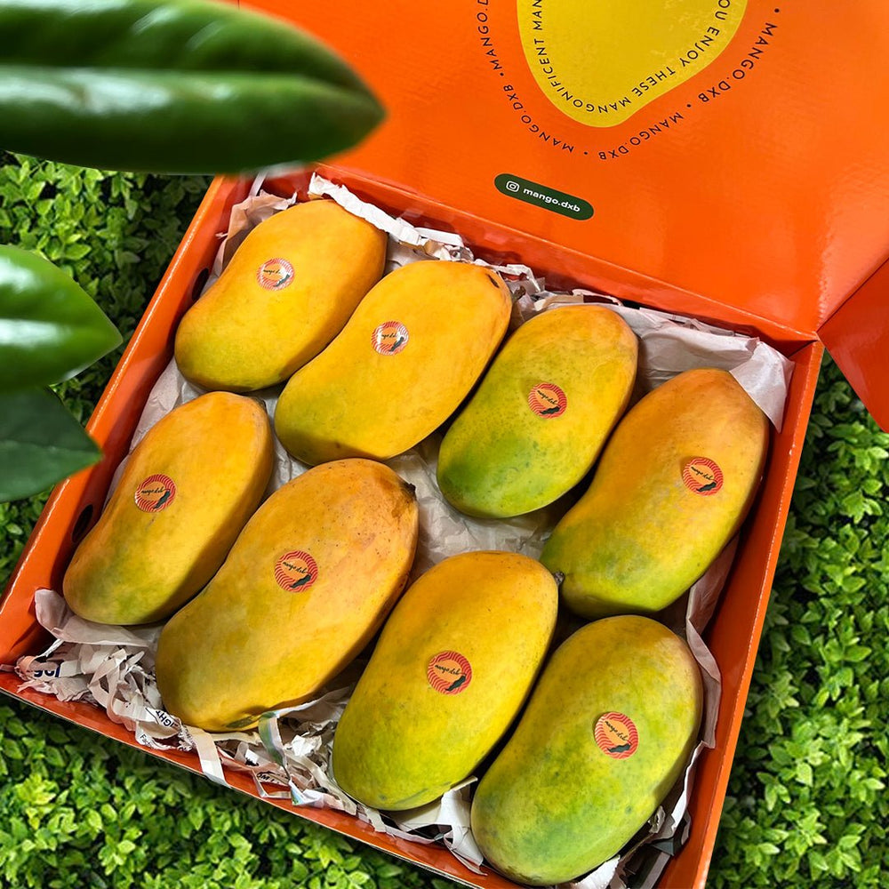 🥭 mango.dxb: UAE's Top Mango Supplier